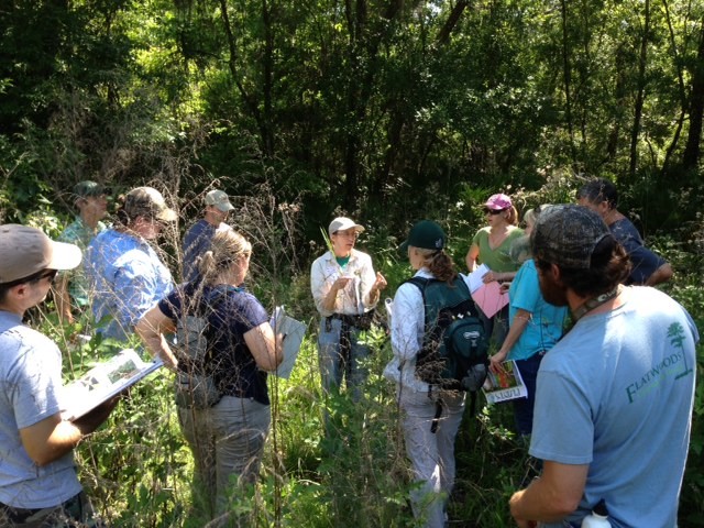 Earthskill Gathering with camping - Grow Permaculture